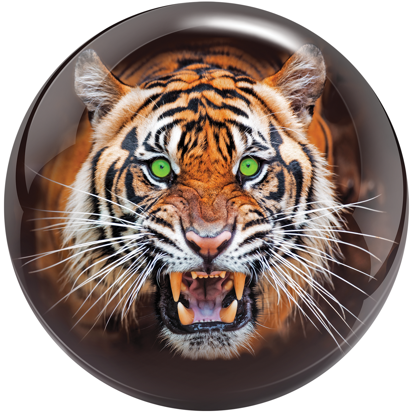 Tiger | Brunswick Bowling
