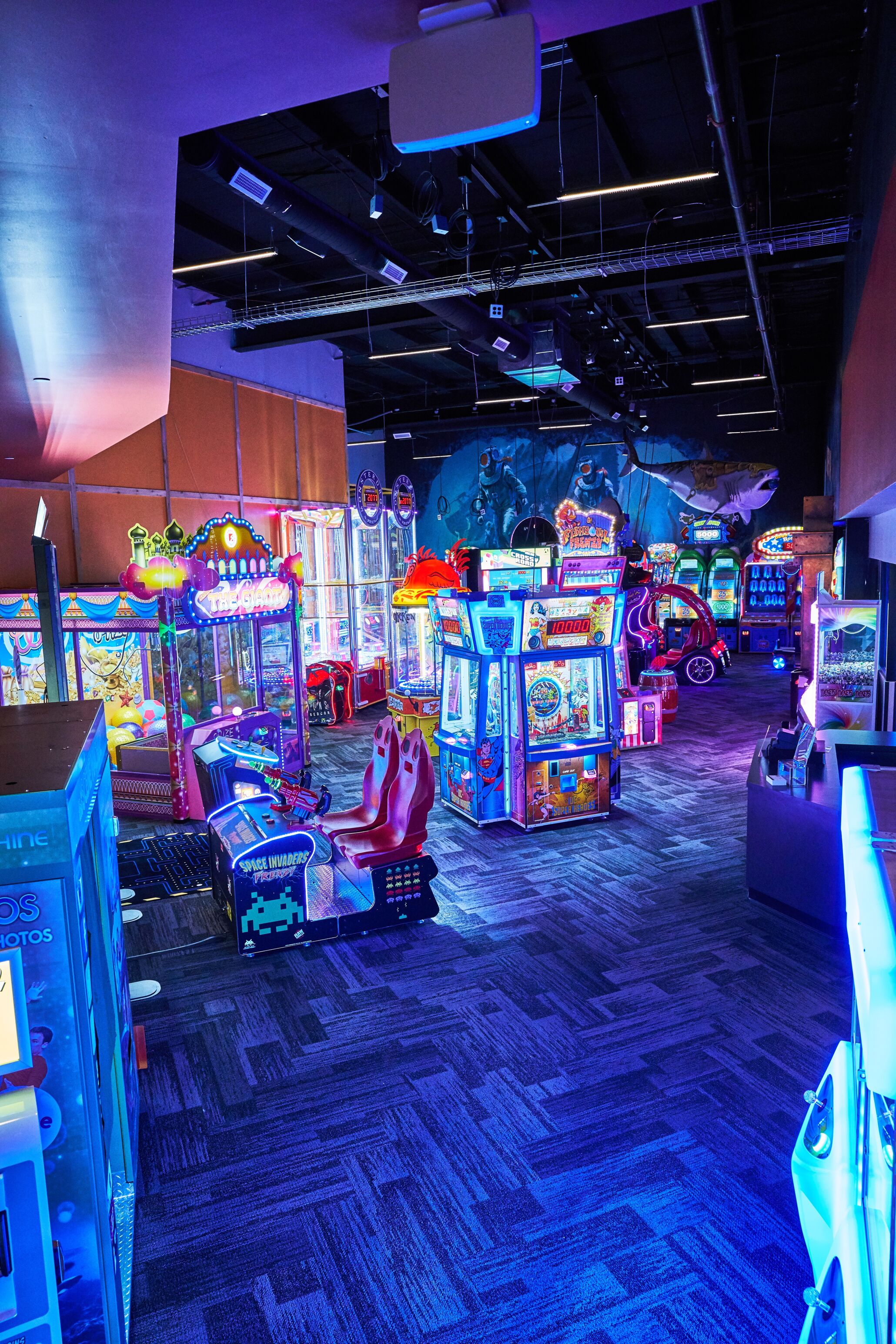 Ten Pin Alley | Brunswick Bowling